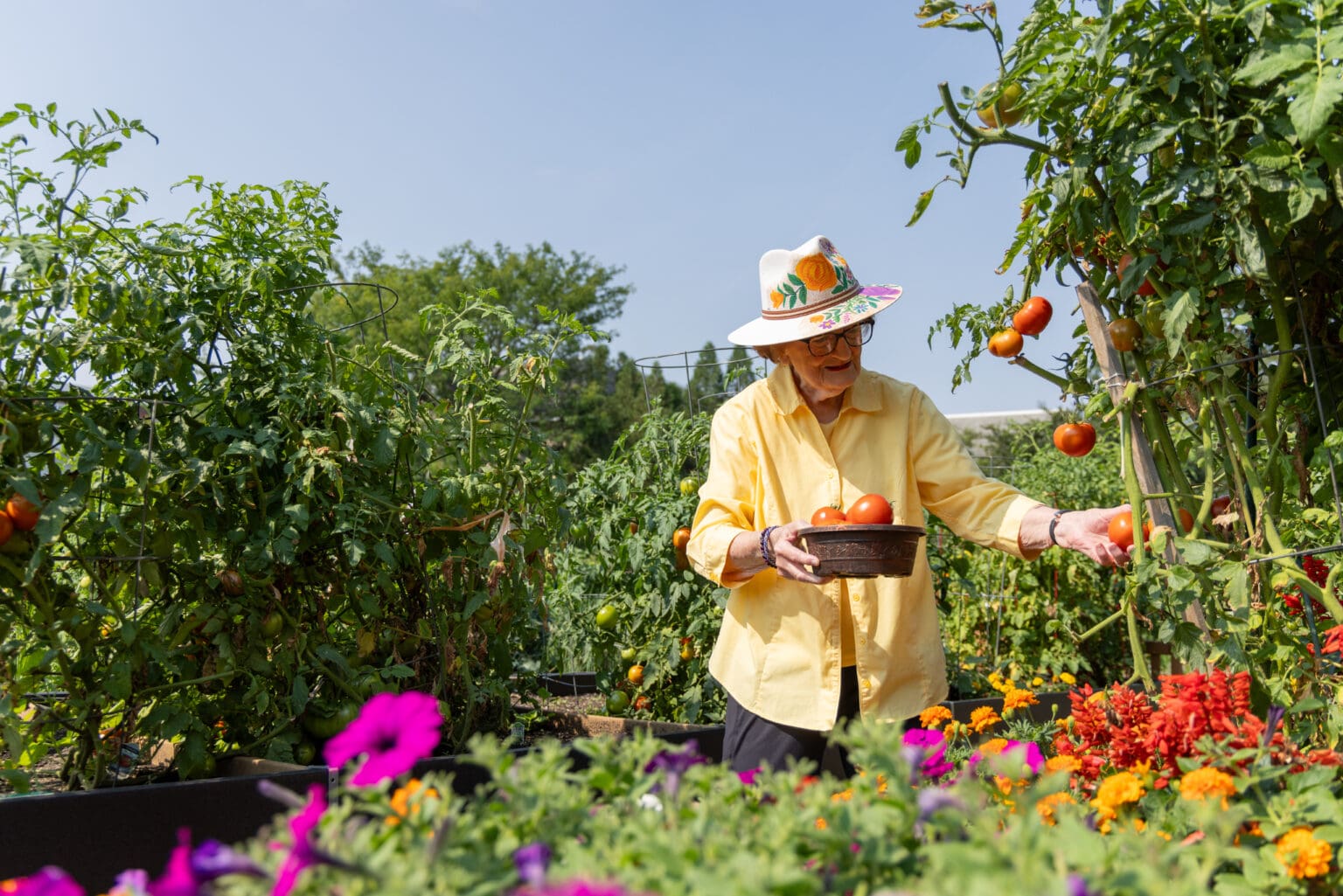 What Is a Snowbird? | The Moorings of Arlington Heights